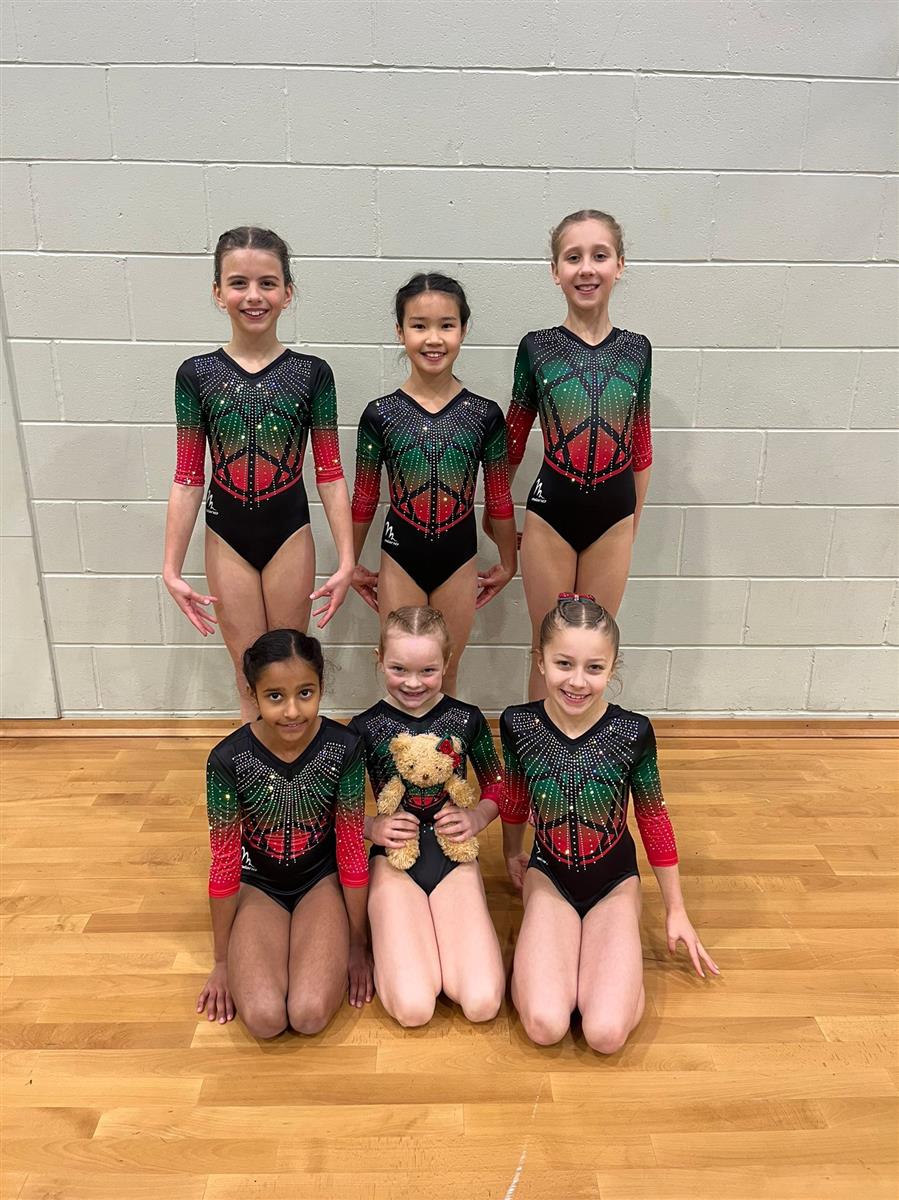 13/02/2025 - Gymnastics Success for our U9 and U10News Stories | News ...